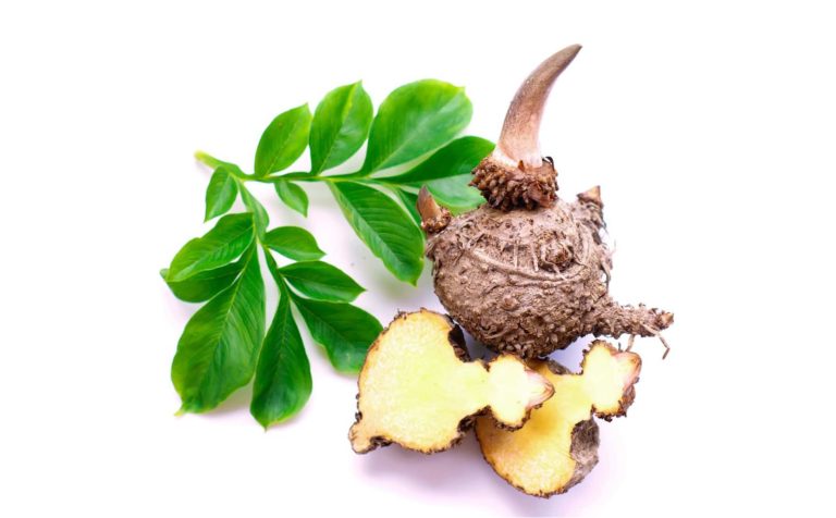 Glucomannan: Uses, Dosage, Side Effects & Health Benefits - Hourglass ...